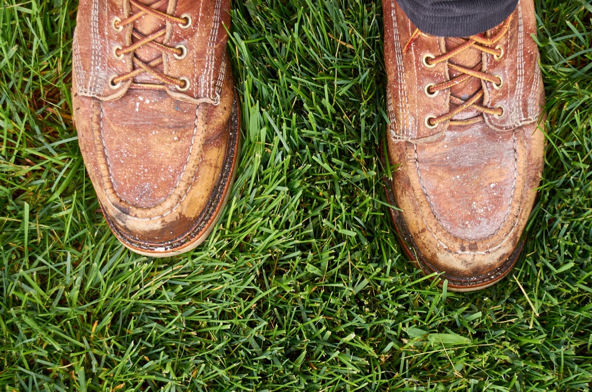 Large Yard or Small, Here’s a Lawnmower that Can Do The Job - ManMadeDIY