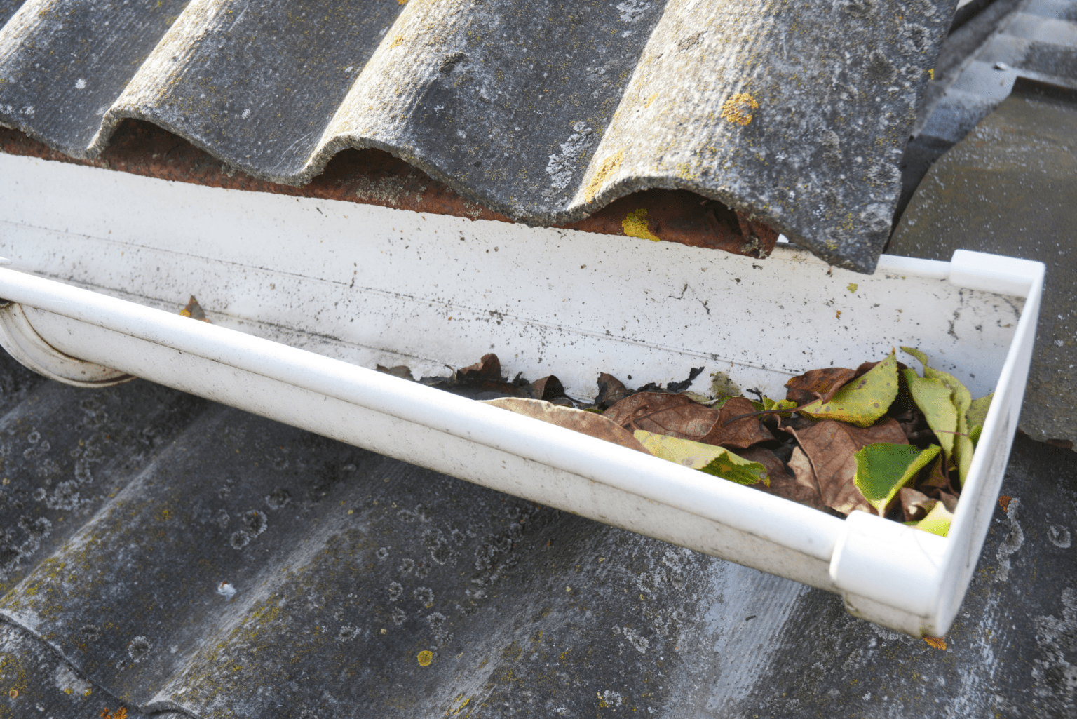 How to Clean Gutters Without a Ladder - Quick and Easy - ManMadeDIY
