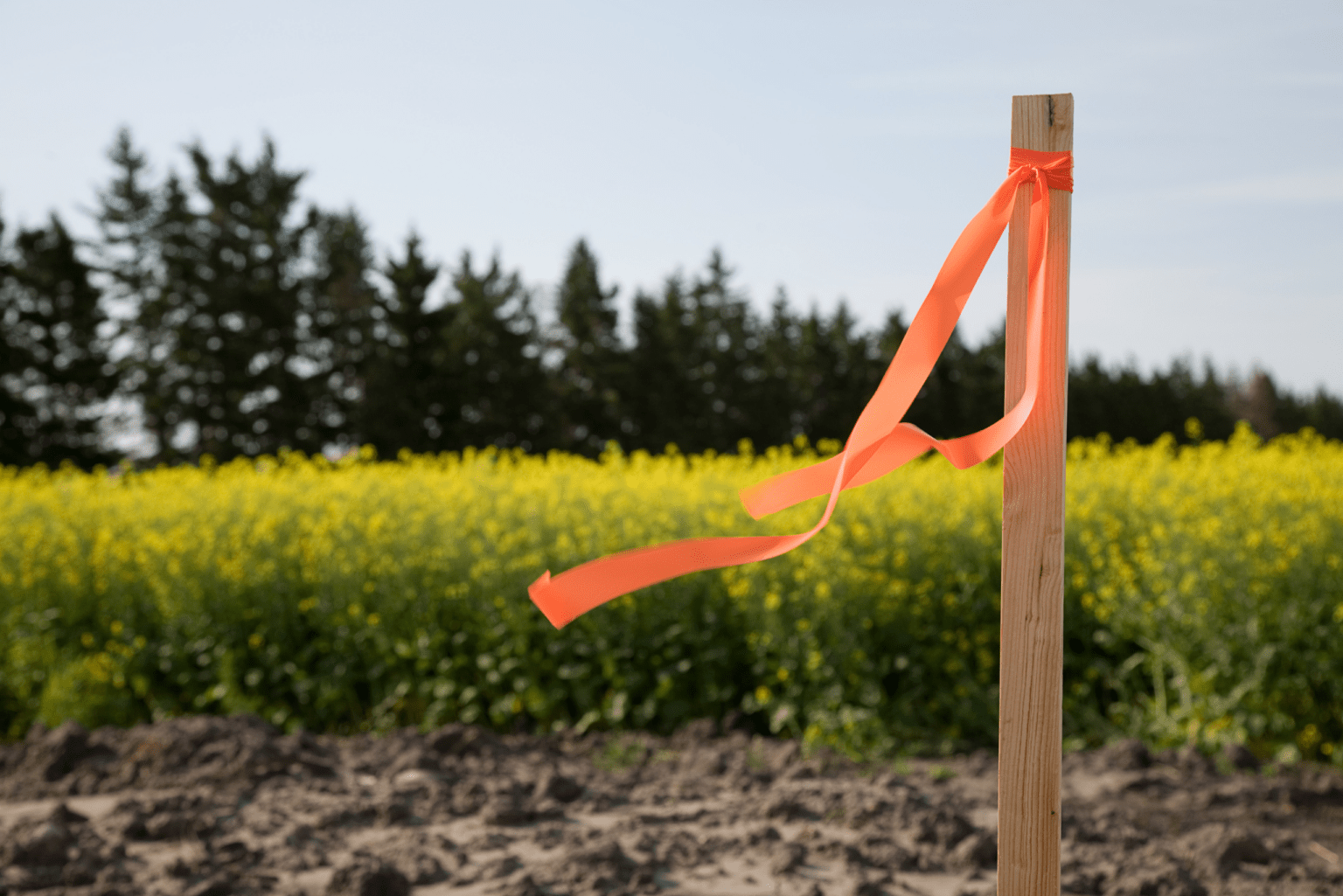DIY Guide for How to Build a Privacy Fence - ManMadeDIY