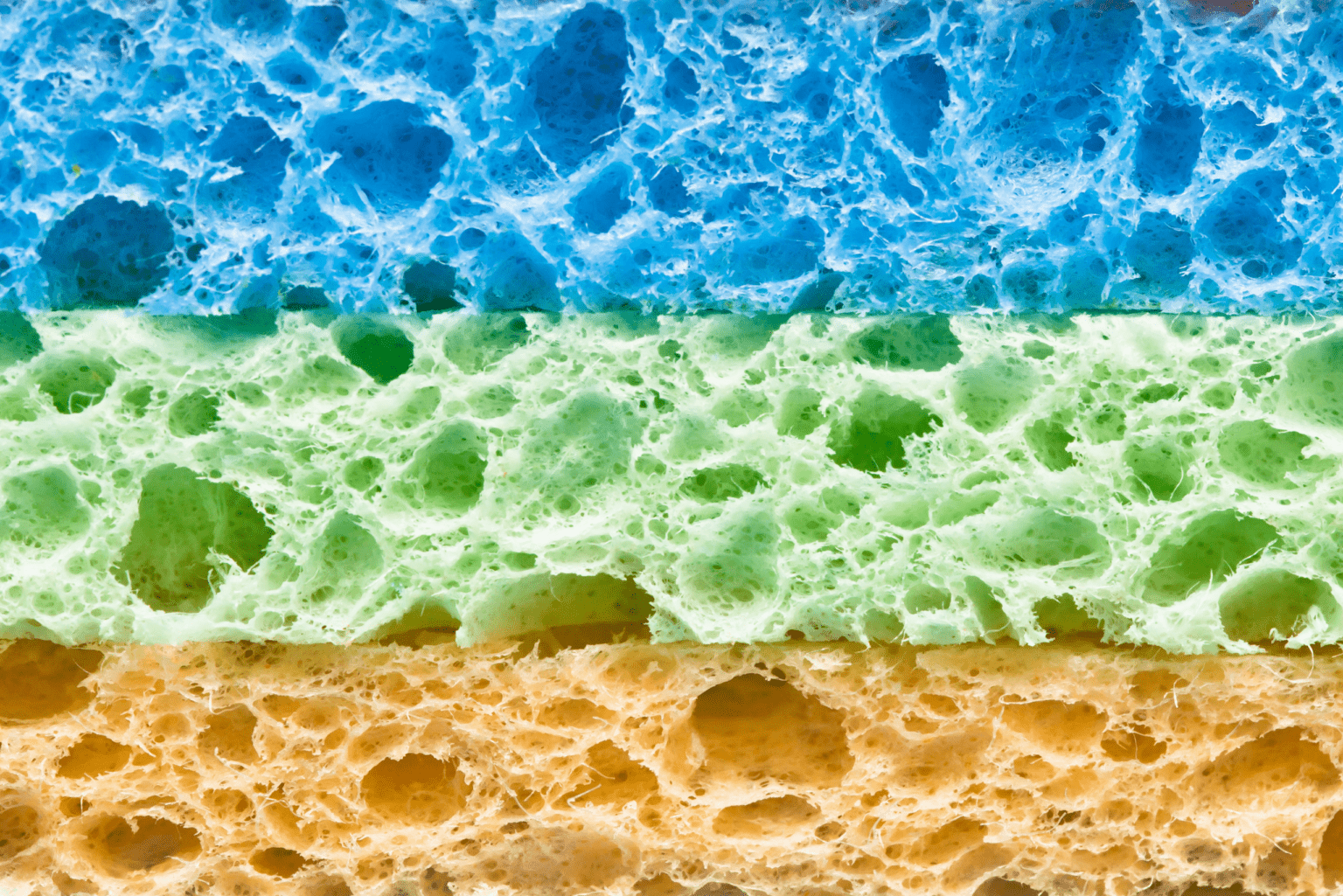 3 Types of Sponges You Need to Tackle Every Household Mess in Minutes ...