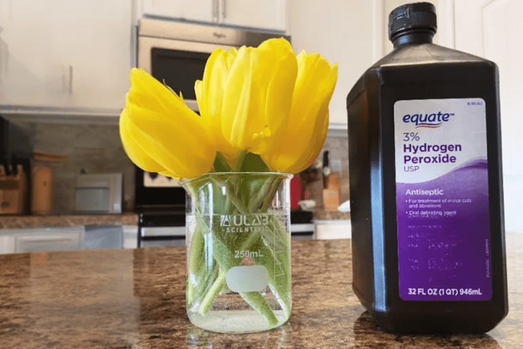 8 Ingenious Hydrogen Peroxide Hacks to Simplify Your Daily Routine ...