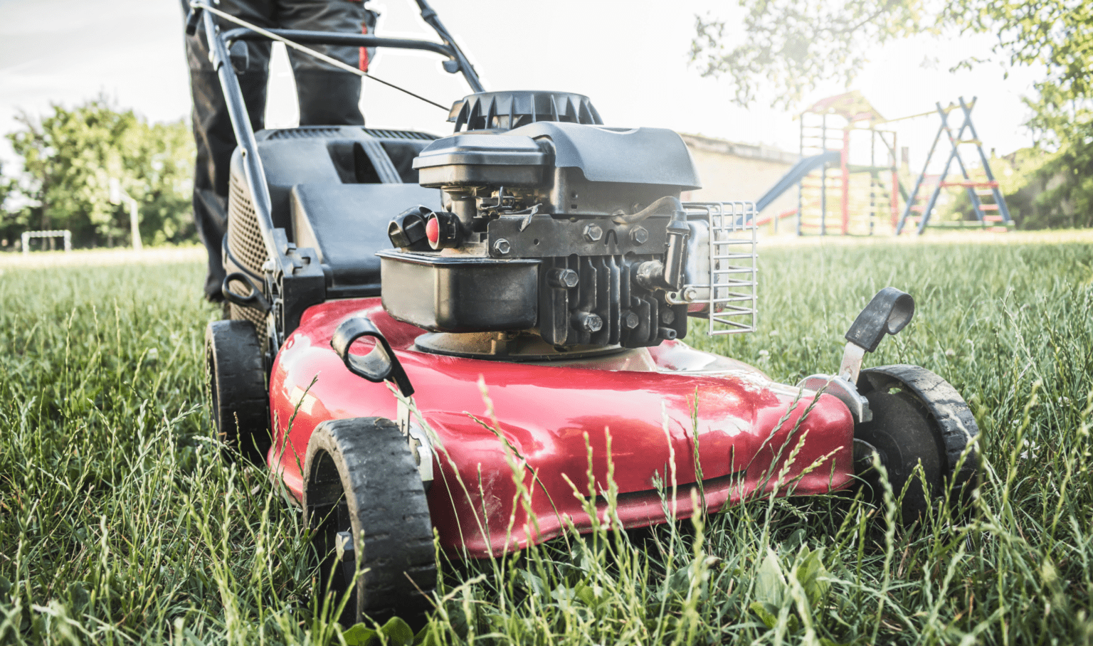 Landscaping Mistakes That Will Leave Your Yard With More Weeds - ManMadeDIY